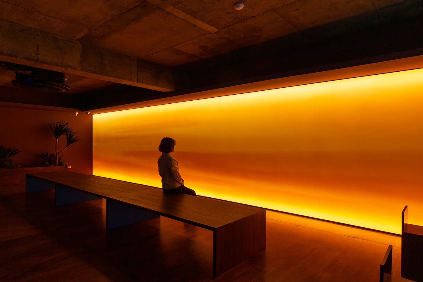 Let In The Light/Dark Mode - Design4Retail‎